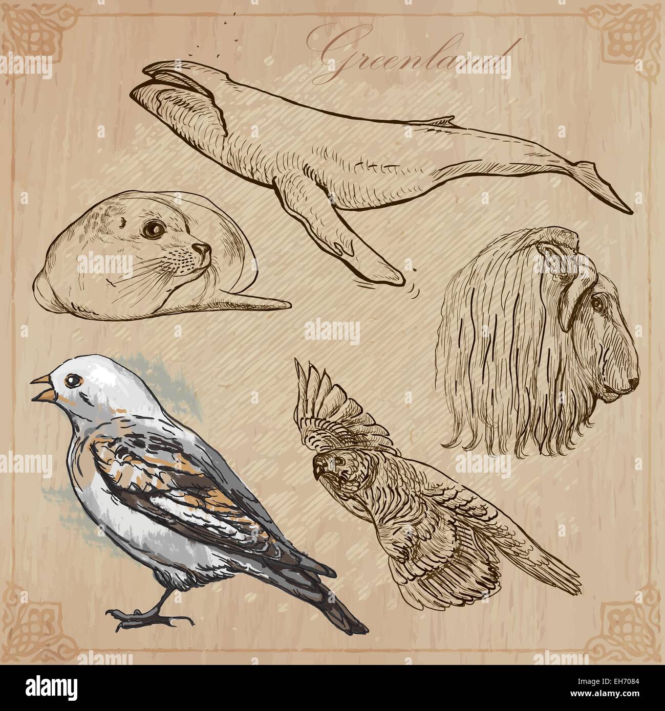 Travel series: POLAR REGIONS - GREENLAND (set no.2) - Collection of an ...
