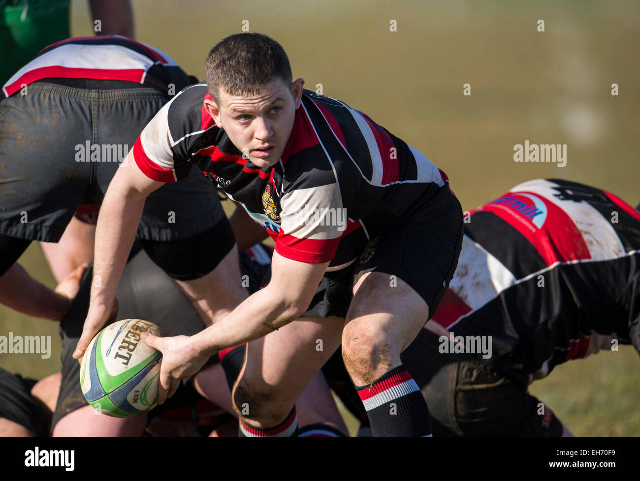 Scrum half holding ball hi-res stock photography and images - Alamy