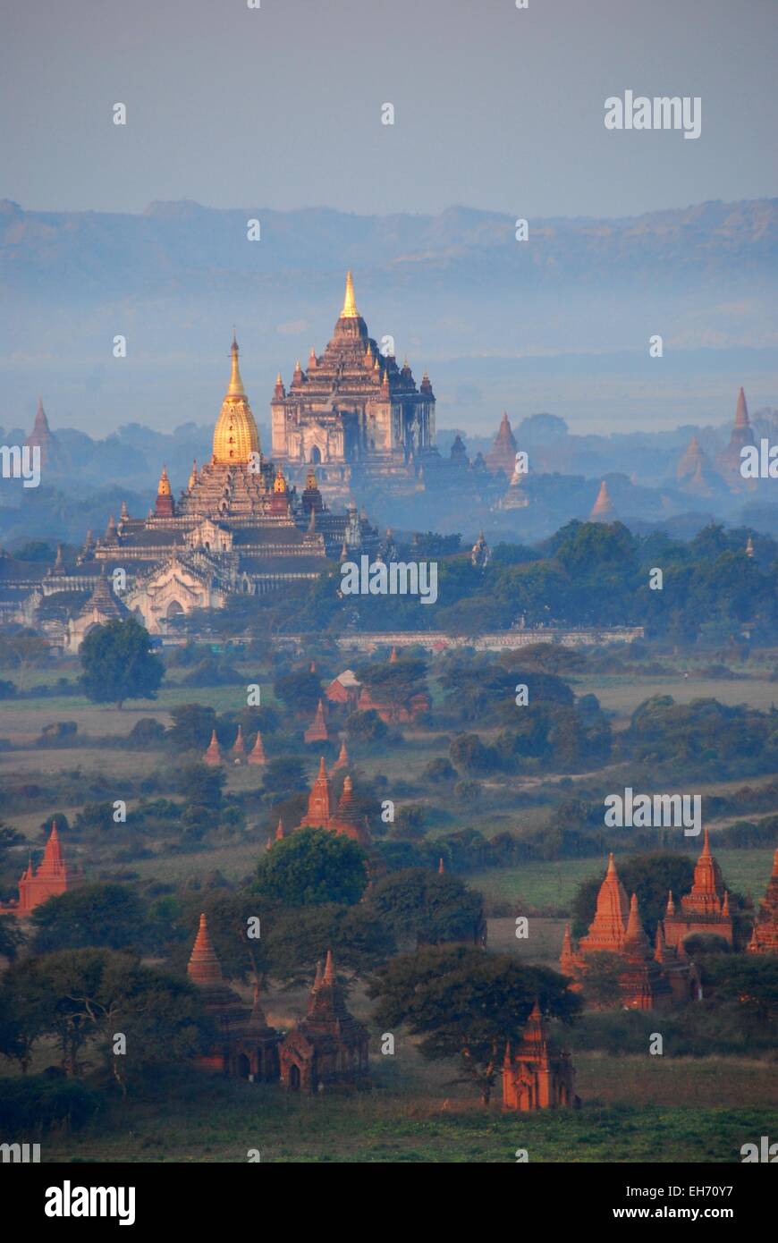 Aerial view of Bagan Temples and Stupas in the mist at sunrise Stock ...