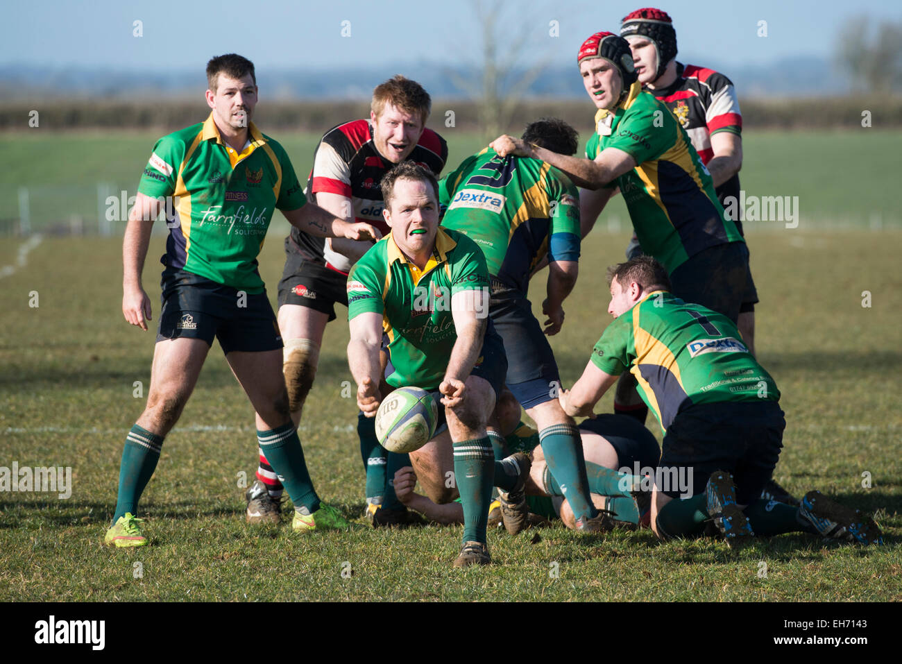 Rugby scrum half in action - Dorset - England Stock Photo - Alamy