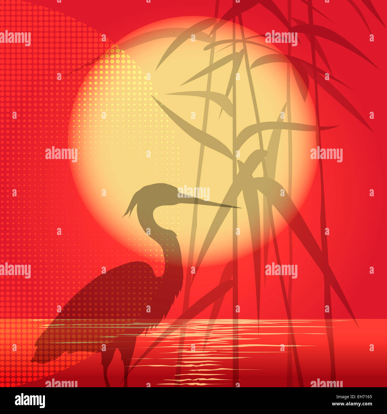 Illustration with heron which hunts in the reed against red sunset ...