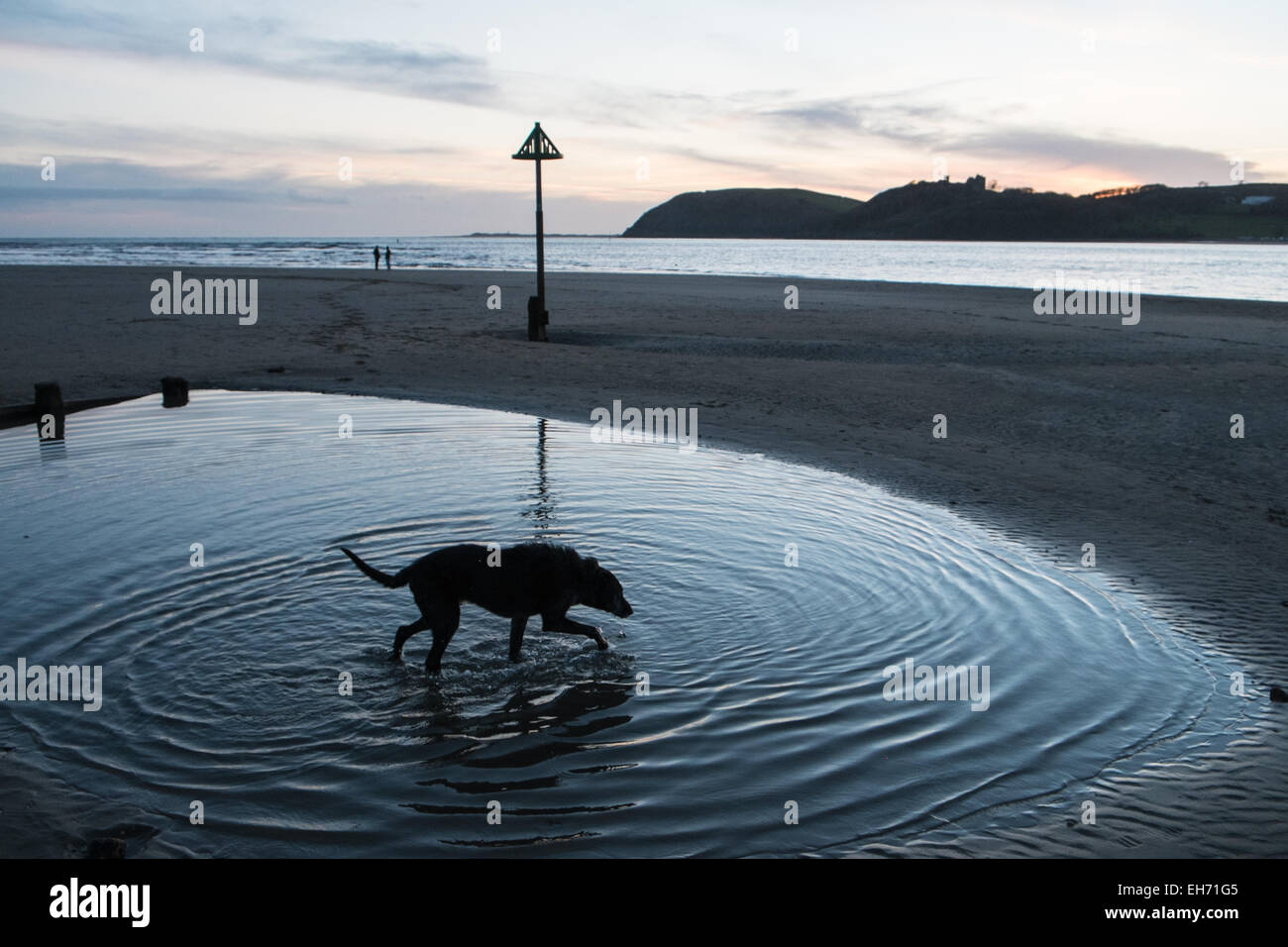 River Towy Estuary. Carmarthenshire, West Wales, UK. 8th Mar ch, 2015 ...