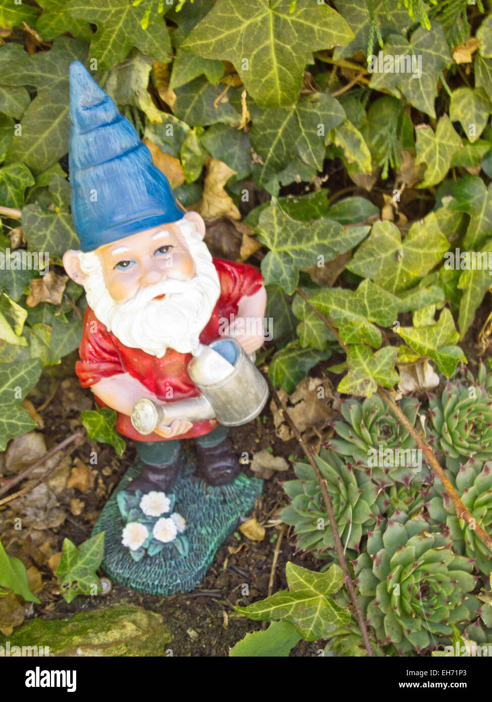 garden gnome Looking up Stock Photo - Alamy