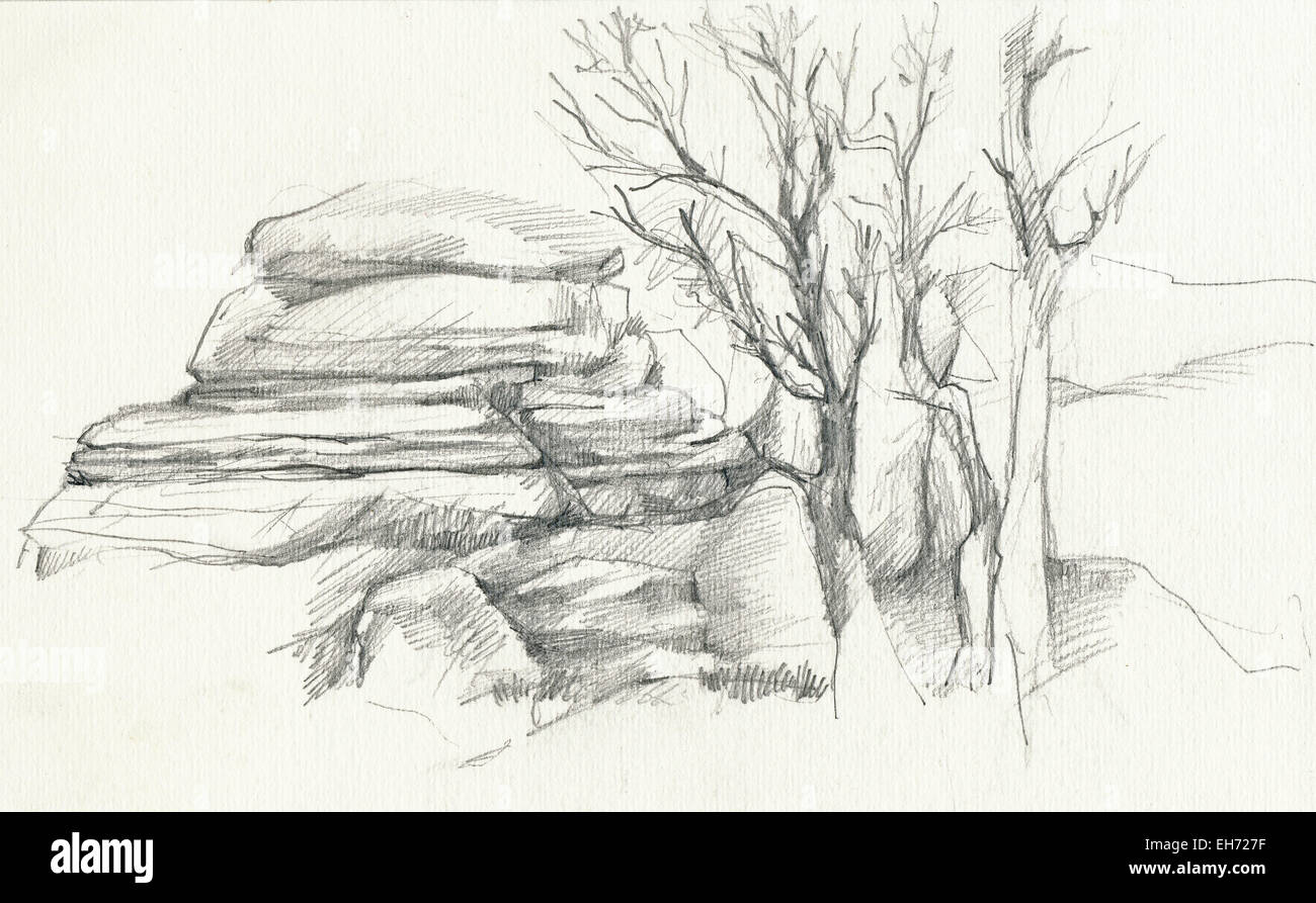 Hand drawn illustration trees hi-res stock photography and images - Alamy