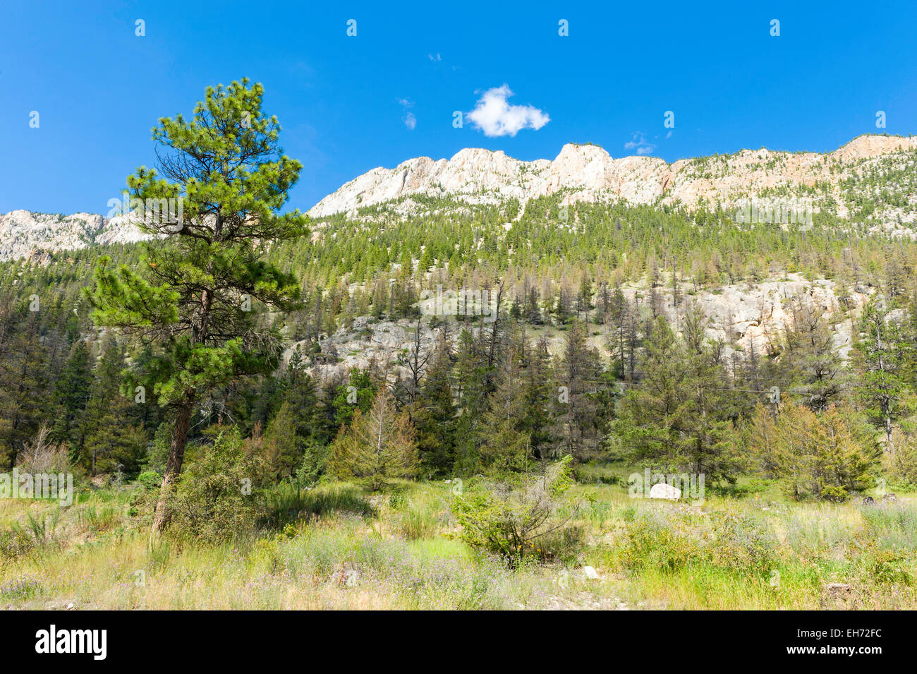 Marble cliffs at Marble Canyon Provincial Park, Pavilion, BC, Canada ...