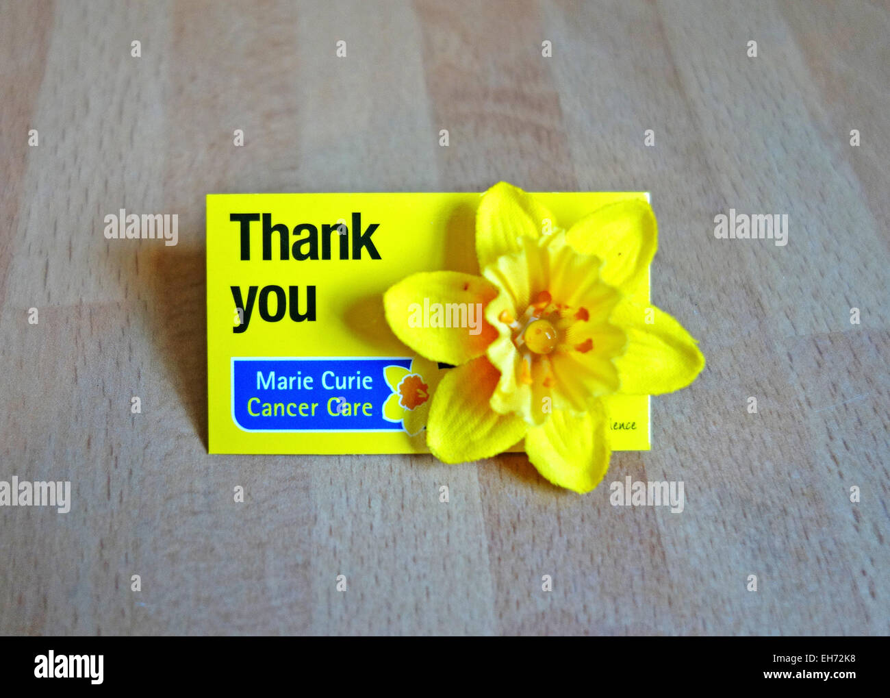 A Marie Curie daffodil badge Stock Photo - Alamy