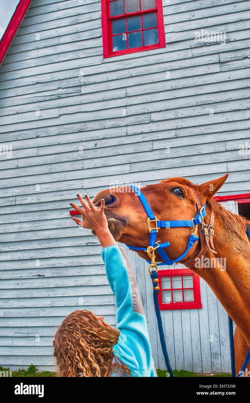 Horse show competition Stock Photo - Alamy