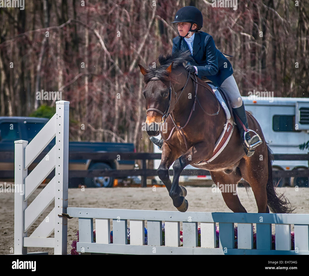 Horse show competition Stock Photo - Alamy