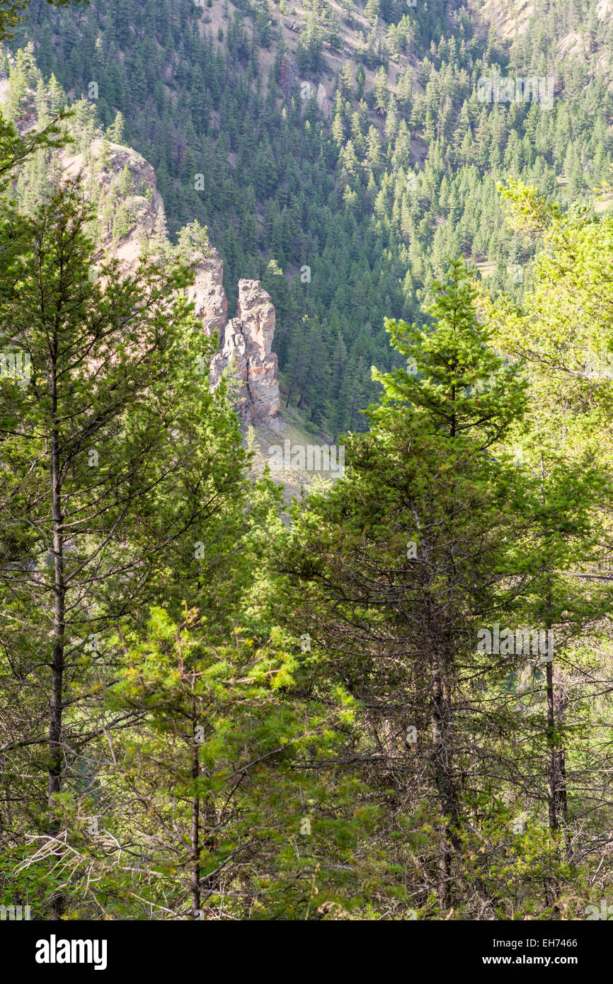 Boreal forest, valley and hoodoos near Clinton, British Columbia ...