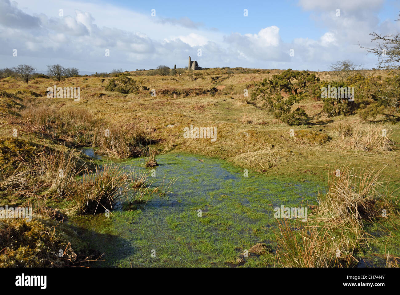 Bog, near Minions, on Bodmin Moor, Cornwall, with New Phoenix Mine ...