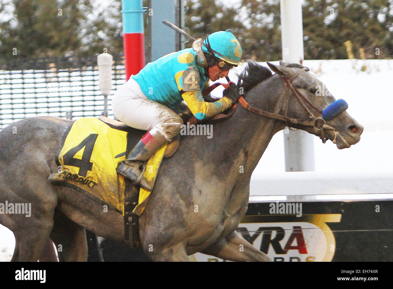 Jamaica, New York, USA. 7th Mar, 2015. March 7, 2015: El Kabeir with C ...