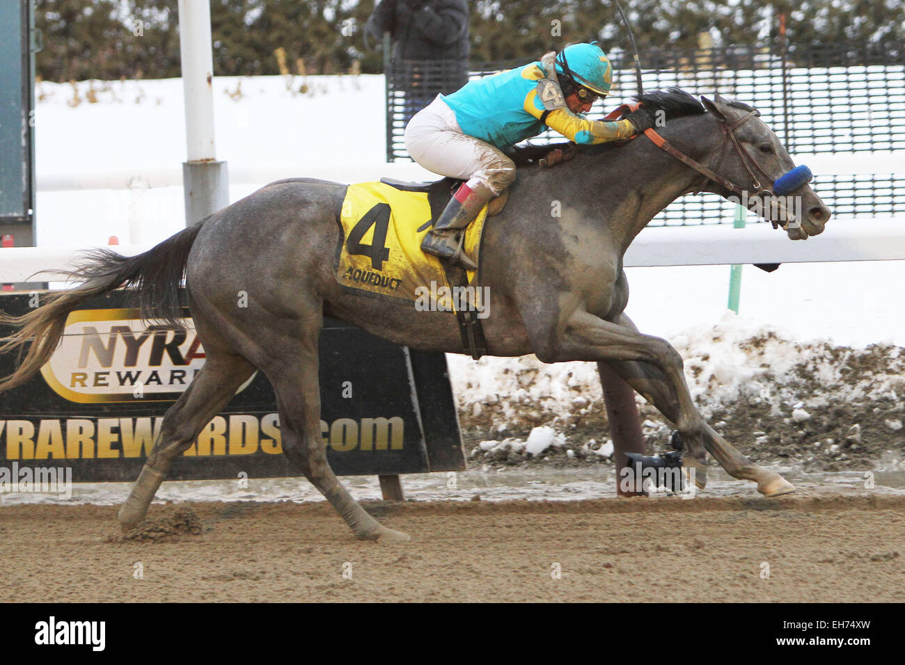 Jamaica, New York, USA. 7th Mar, 2015. March 7, 2015: El Kabeir with C ...