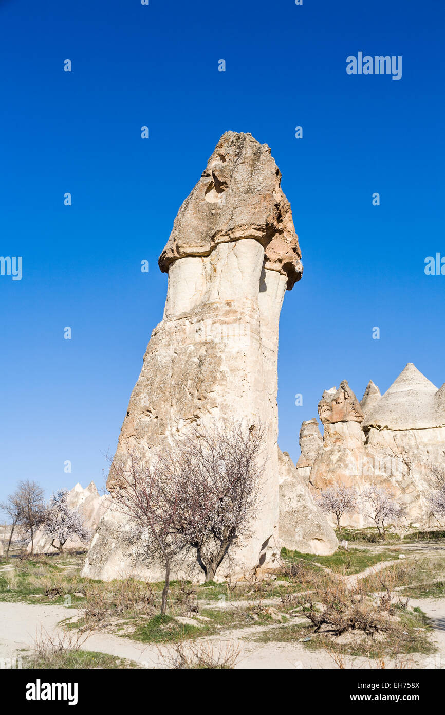 Iconic, strangely shaped and capped fairy chimney geological rock ...