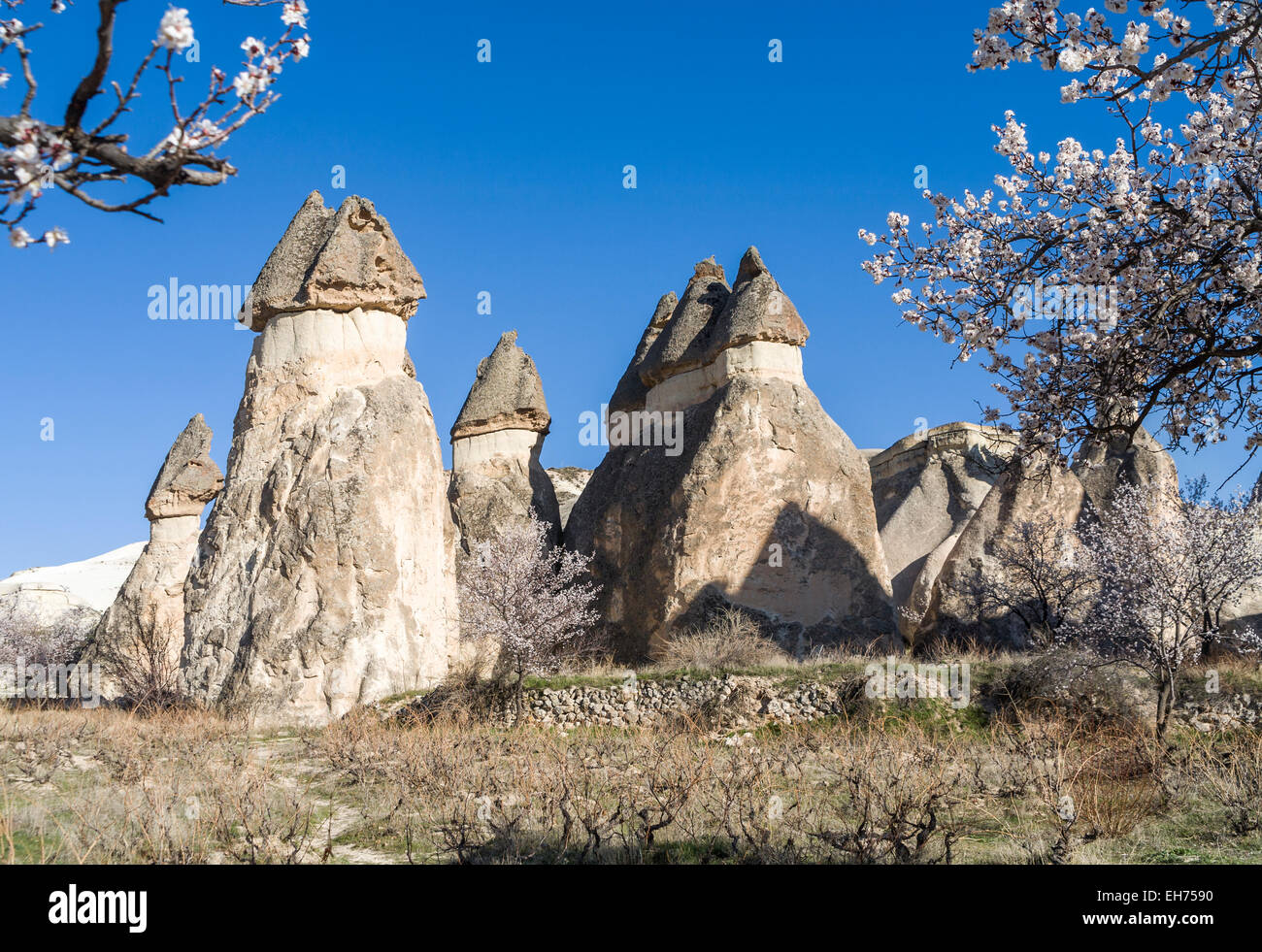 Iconic, strangely shaped and capped fairy chimney geological rock ...