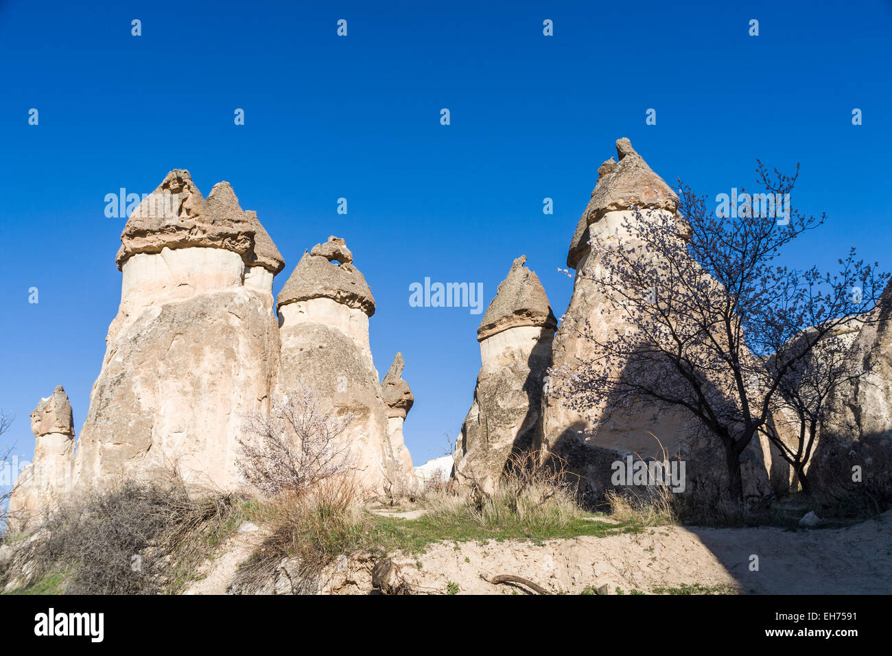 Iconic, strangely shaped and capped fairy chimney geological rock ...