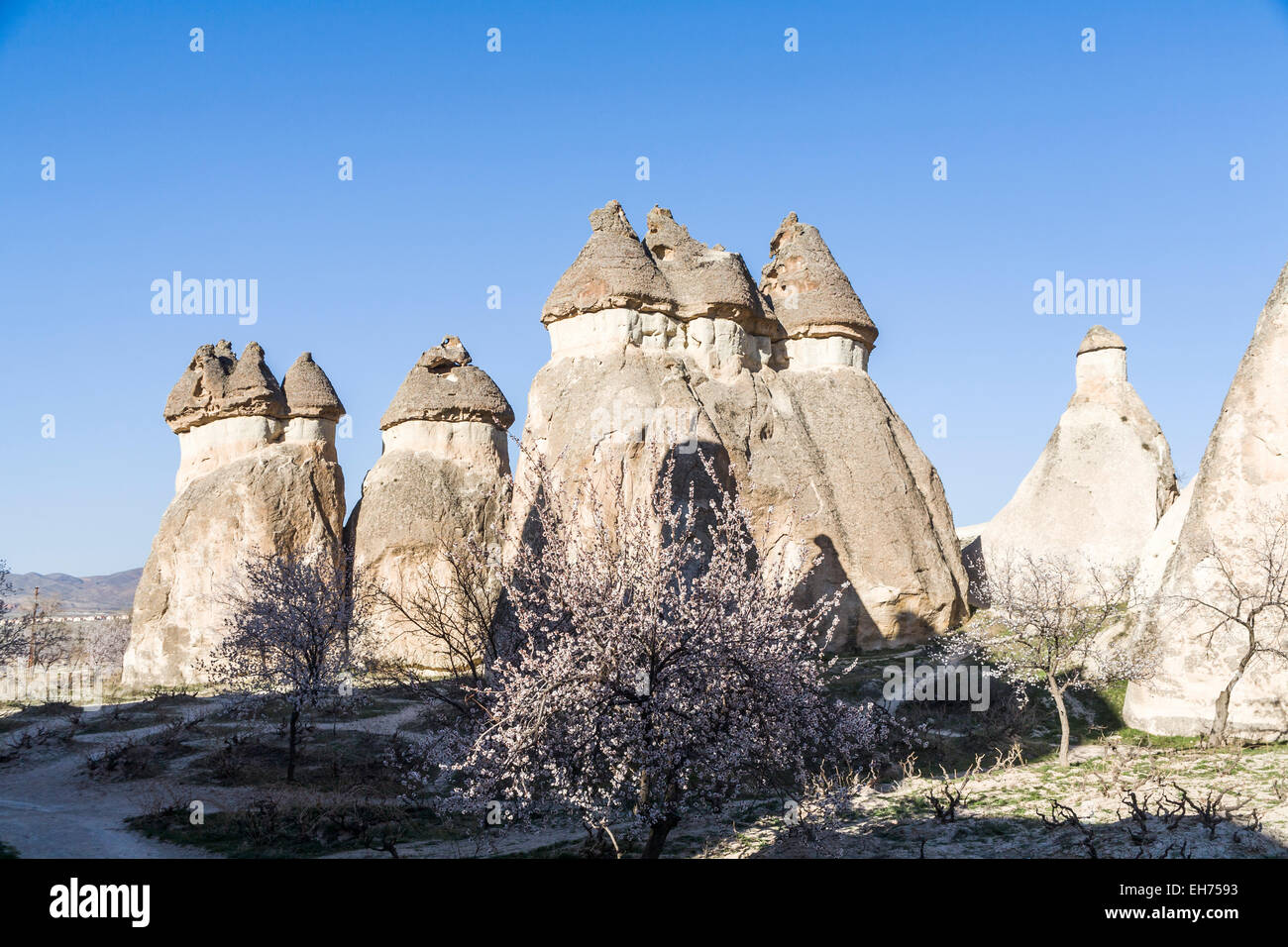 Iconic, strangely shaped and capped fairy chimney geological rock ...