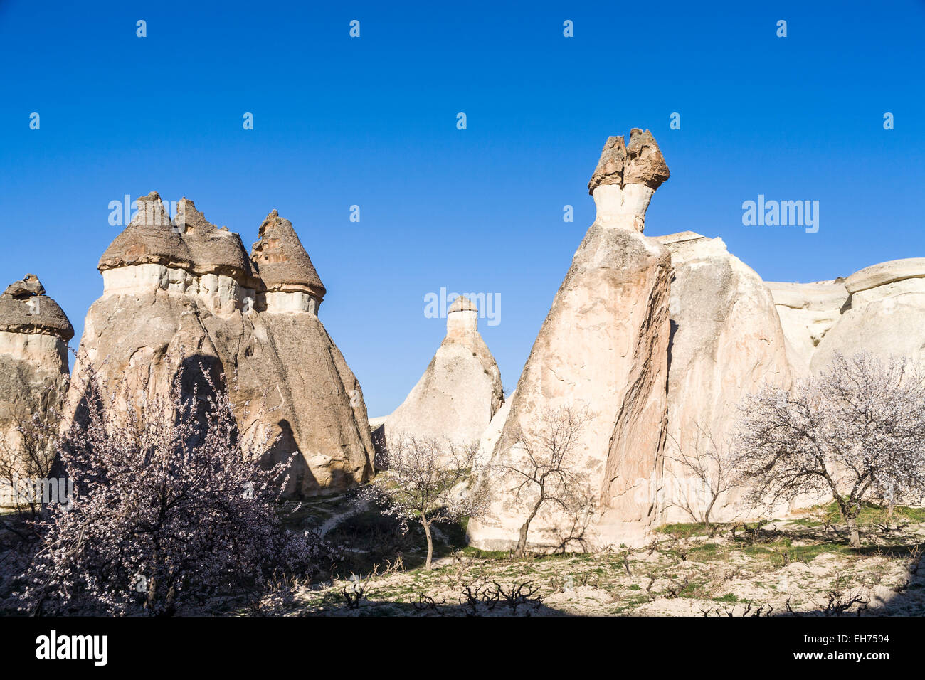 Iconic, strangely shaped and capped fairy chimney geological rock ...