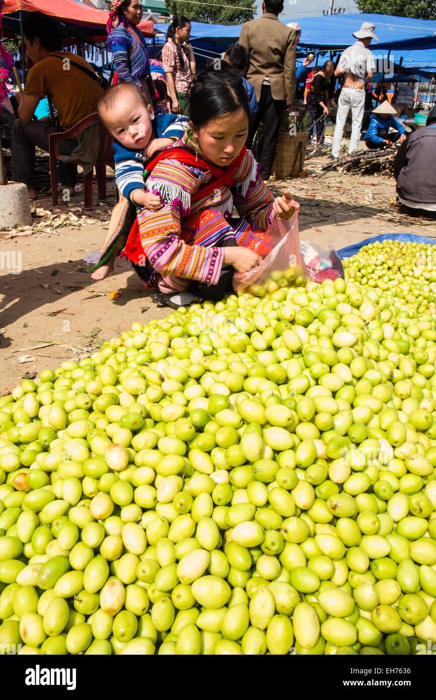 Bac Ha Sunday Market famed for buffalo selling near Lao Cai, and Sa Pa ...