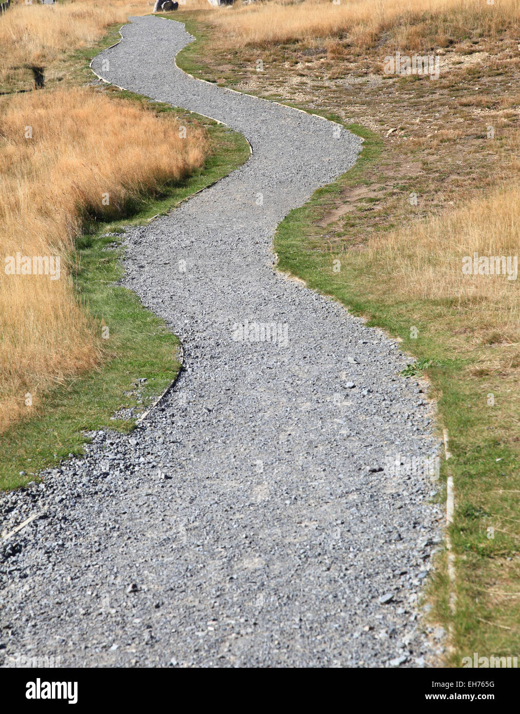 curve pathway road on the filed at castle hill New Zealand Stock Photo ...