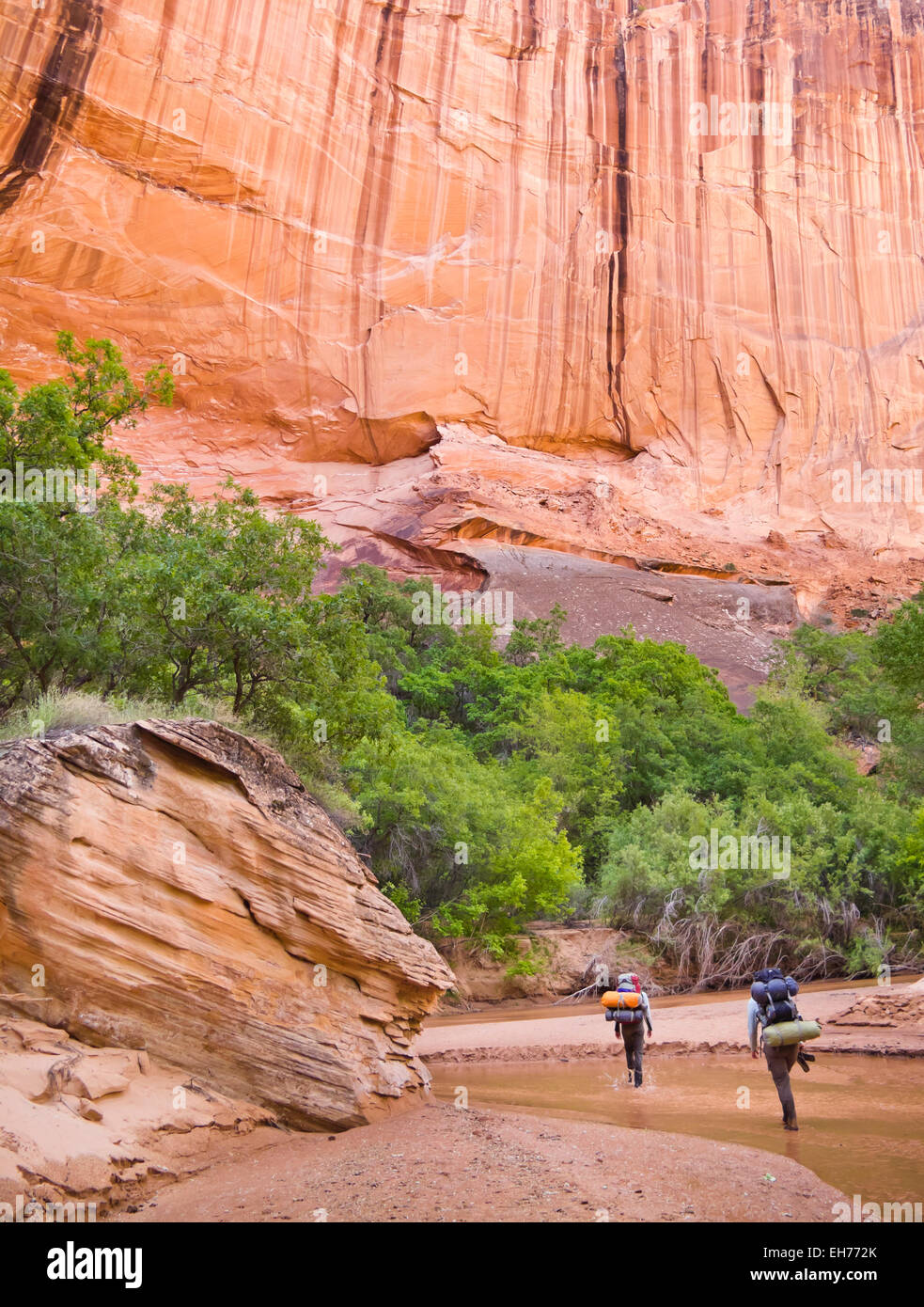 Two people backpack through a narrow canyon in the Utah wilderness ...
