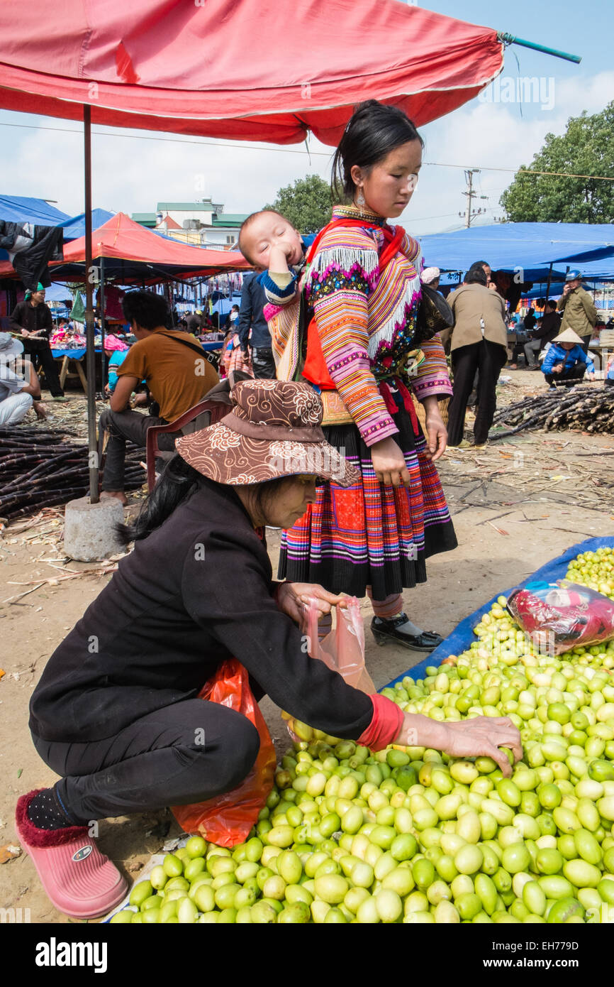Bac Ha Sunday Market famed for buffalo selling near Lao Cai, and Sa Pa ...