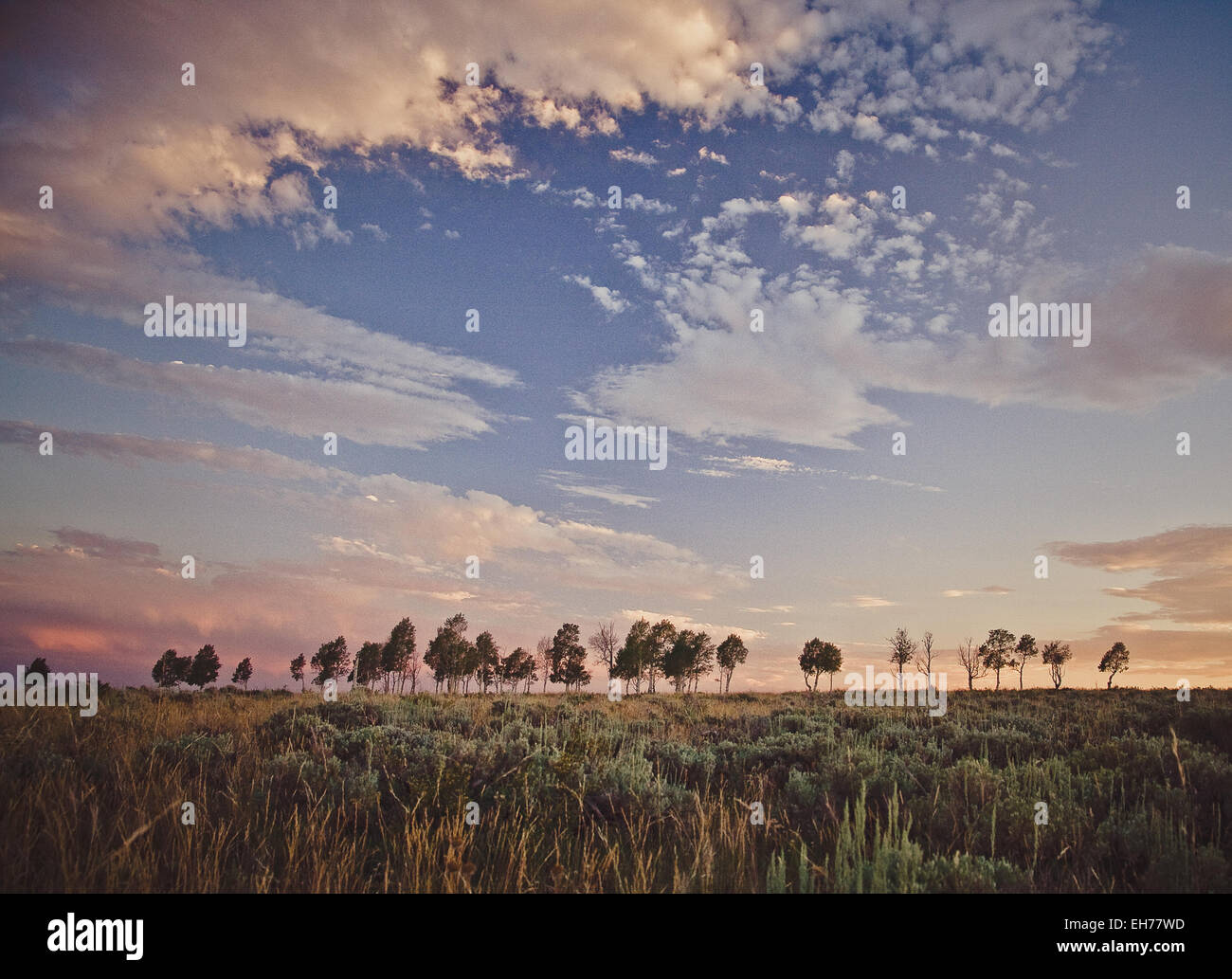 Big sky prairie usa hi-res stock photography and images - Alamy
