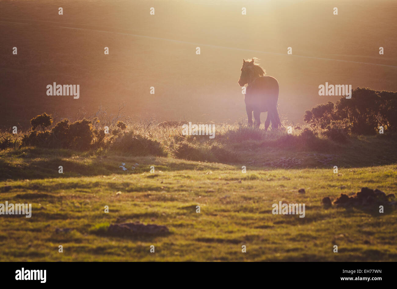 Cornwall Calendar High Resolution Stock Photography and Images - Alamy