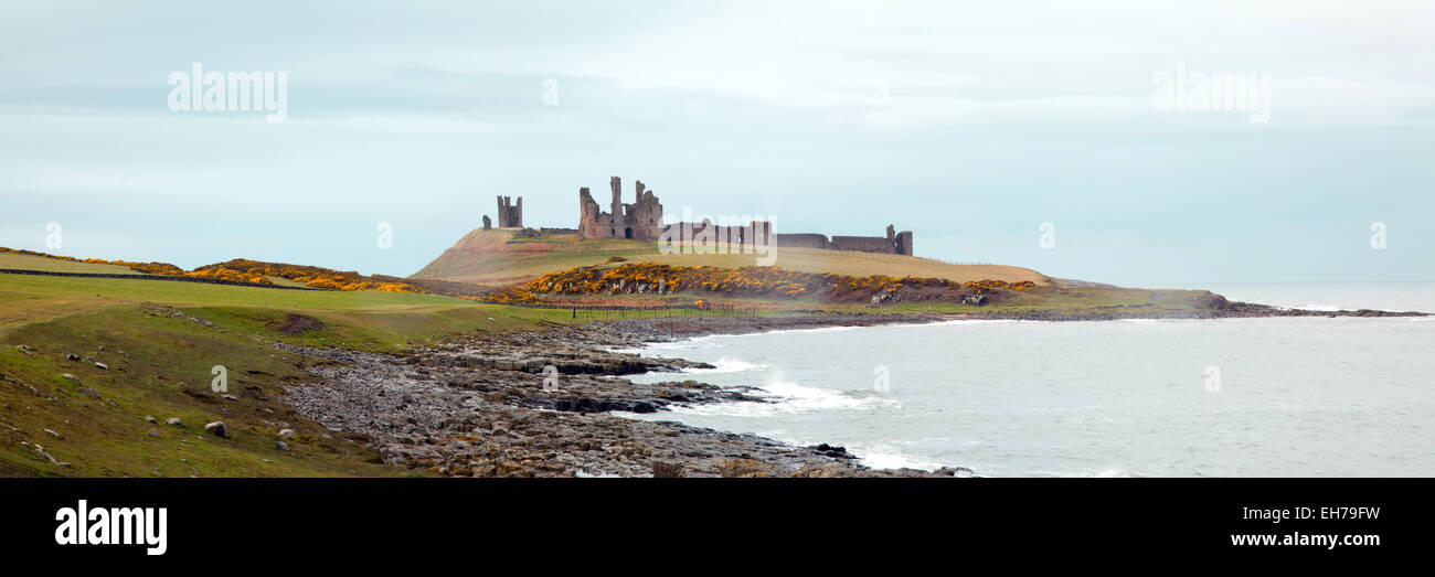 Panorama of Dunstanburgh castle with green meadow grass field Craster ...
