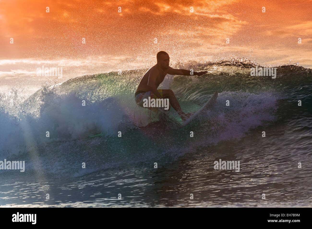 Surfing a wave at sunset time Stock Photo - Alamy