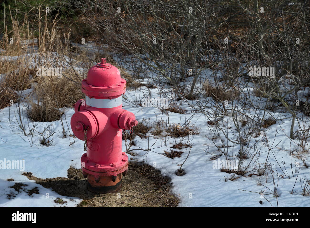 Red Fire Hydrant Stock Photo - Alamy