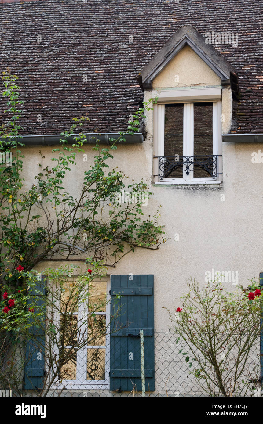 Red roses flower outside an old-fashioned cottage in Gigny-sûr-Saône ...