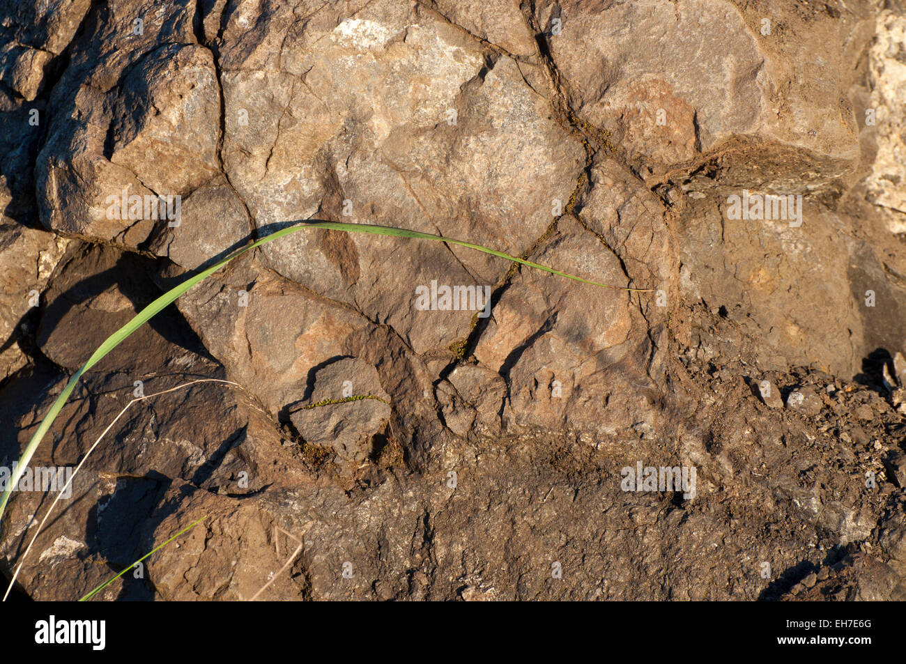 Close up of rock sediment with blades of grass photographed near ...