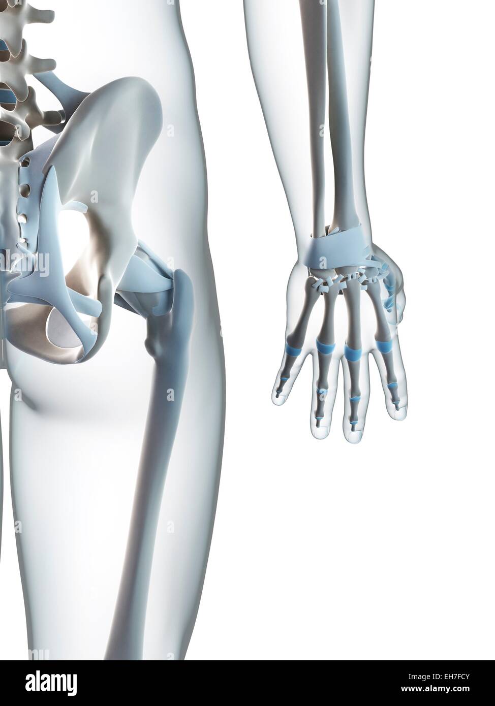 Human hand artwork hi-res stock photography and images - Alamy