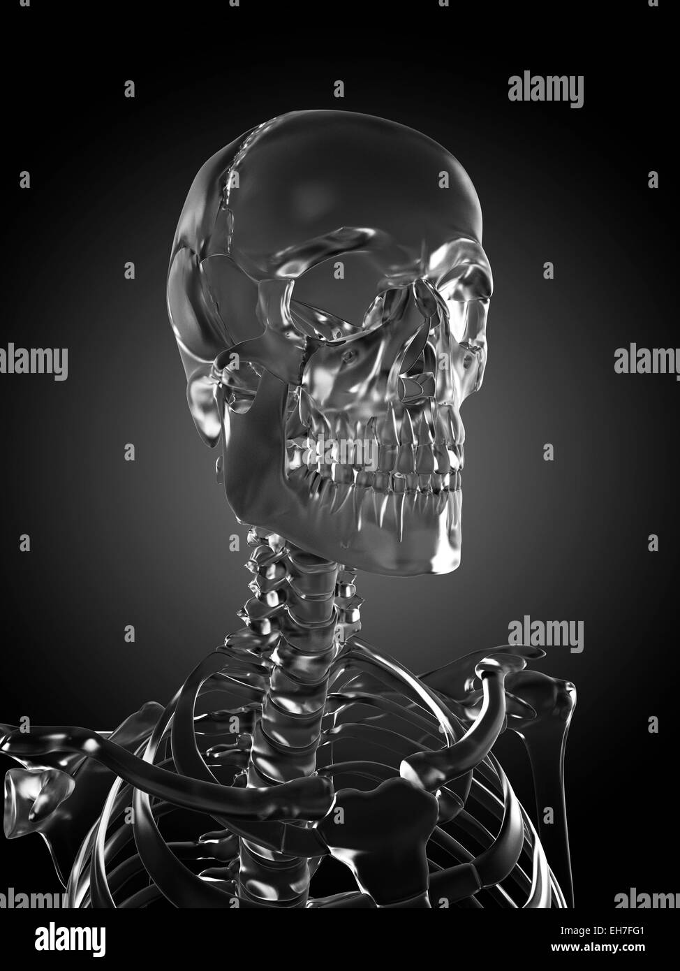 Glass skull Black and White Stock Photos & Images - Alamy