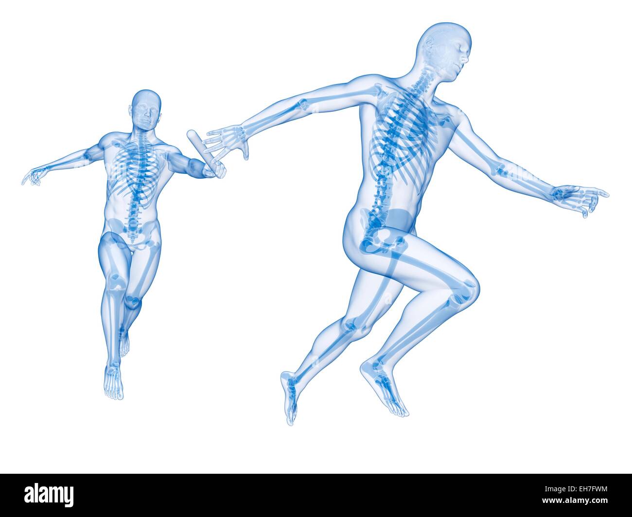 Person passing relay baton, artwork Stock Photo - Alamy