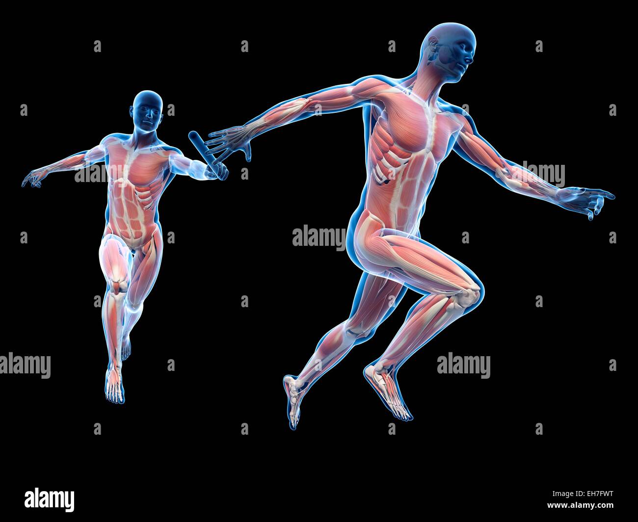 Person passing relay baton, artwork Stock Photo - Alamy
