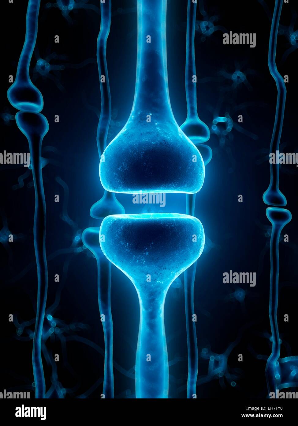 Human synapse hi-res stock photography and images - Alamy