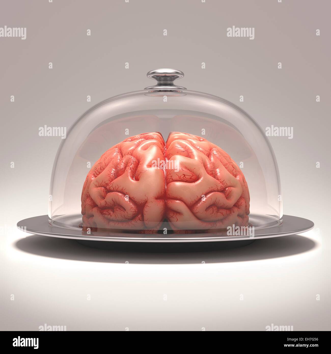 Human brain on platter, artwork Stock Photo - Alamy