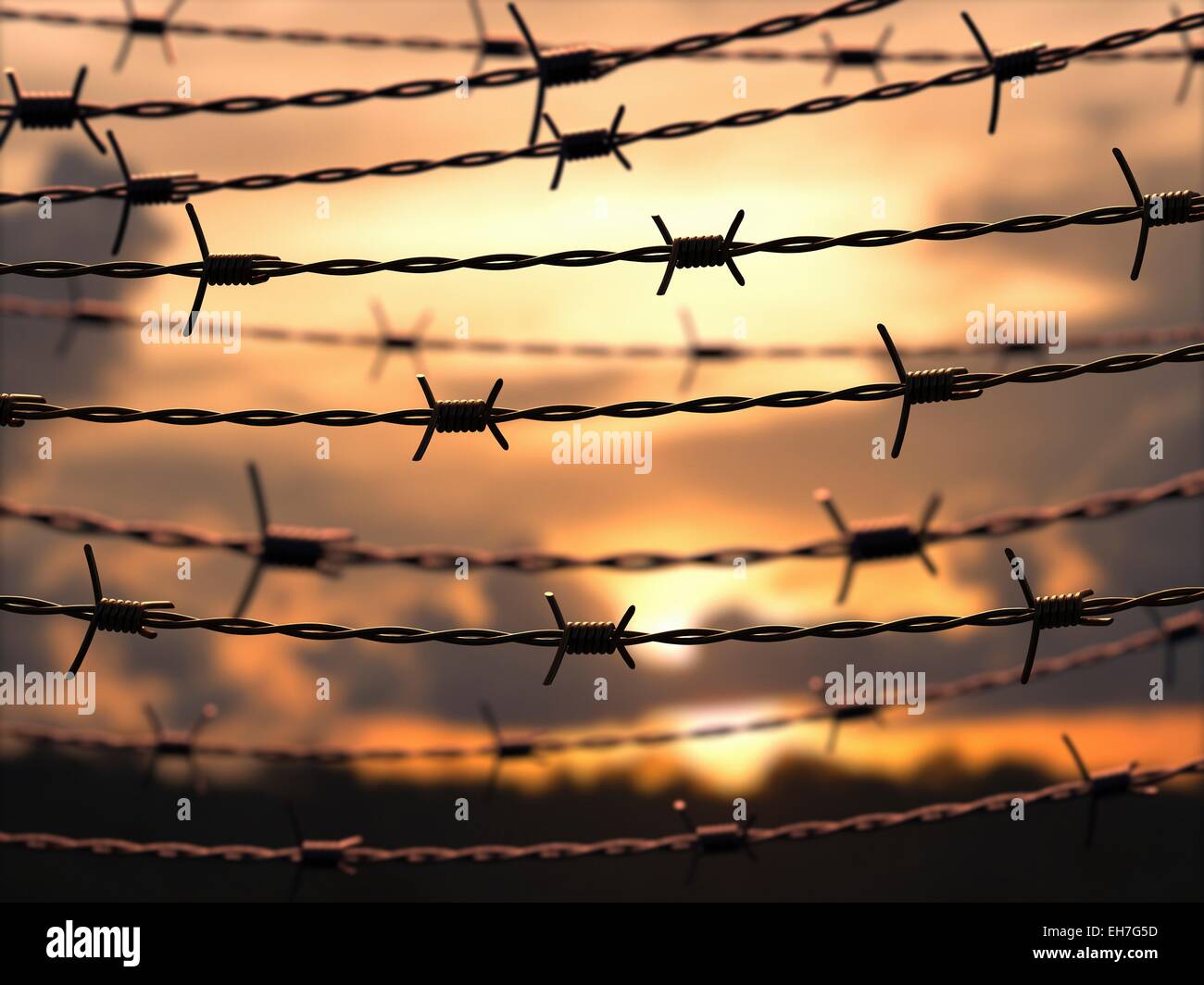 Barbed wire, artwork Stock Photo - Alamy
