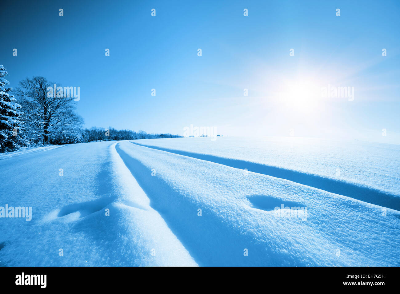 Sunlight and snow hi-res stock photography and images - Alamy