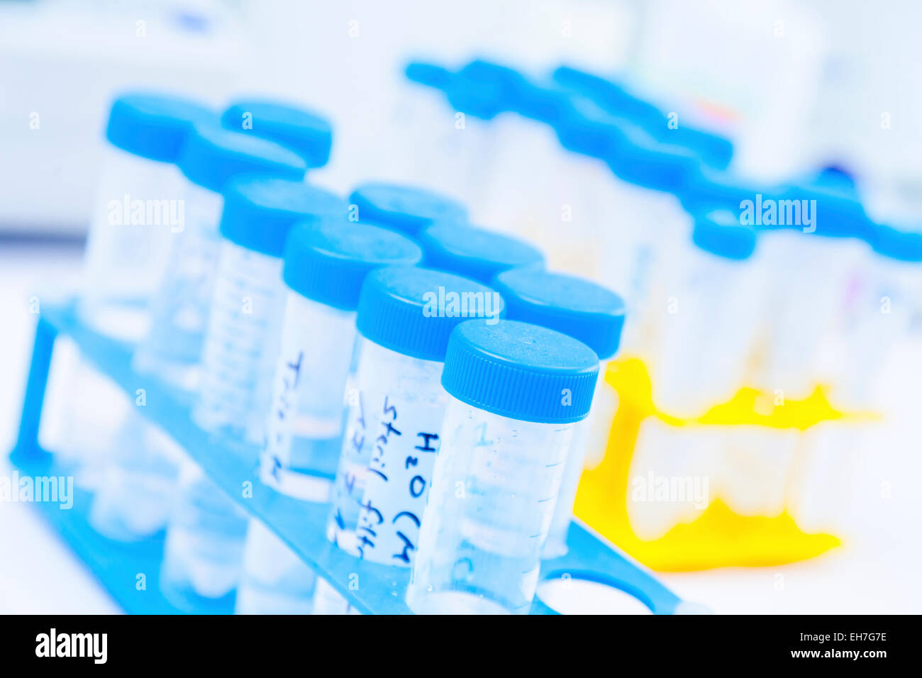 Test tubes in a rack Stock Photo - Alamy