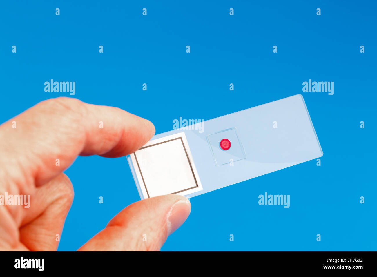 Microscope slide blue sample blood sample hi-res stock photography and ...