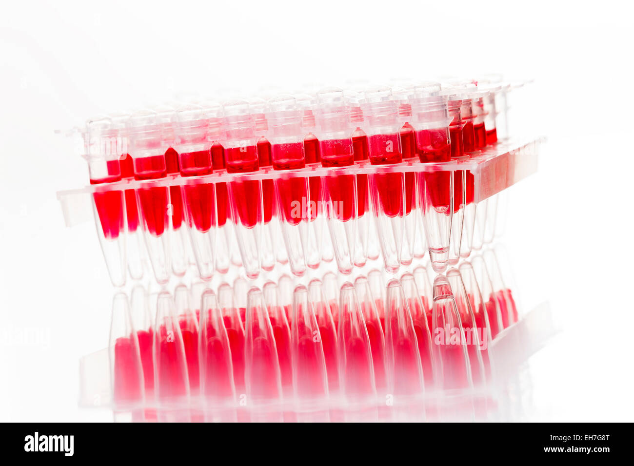 Medical samples in a test tube rack Stock Photo - Alamy