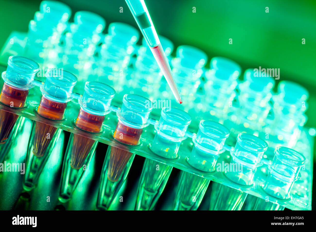 Medical samples in test tubes Stock Photo - Alamy