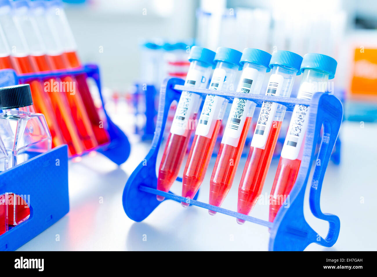Eppendorf tubes hi-res stock photography and images - Alamy