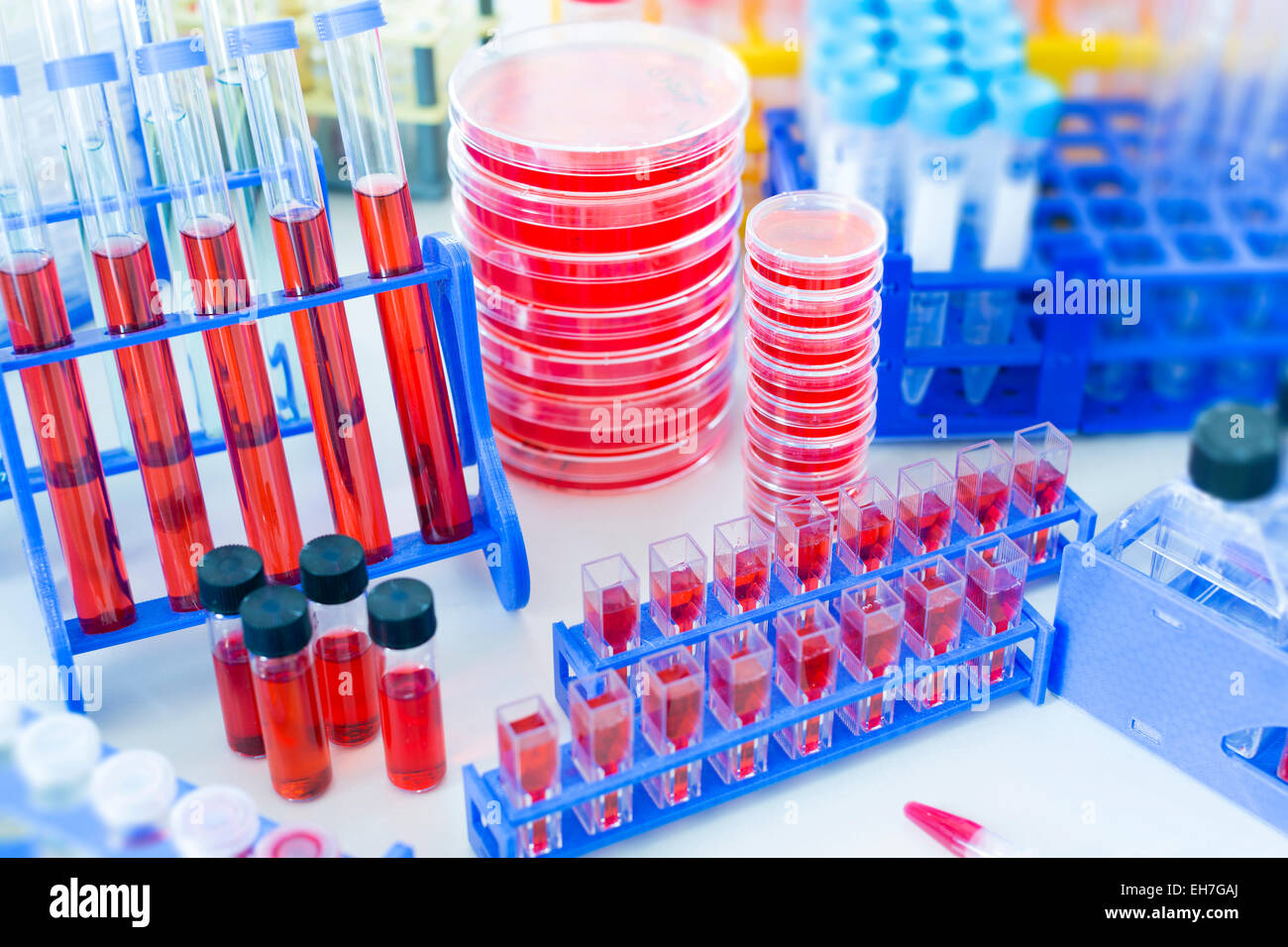 Dish containers hi-res stock photography and images - Alamy