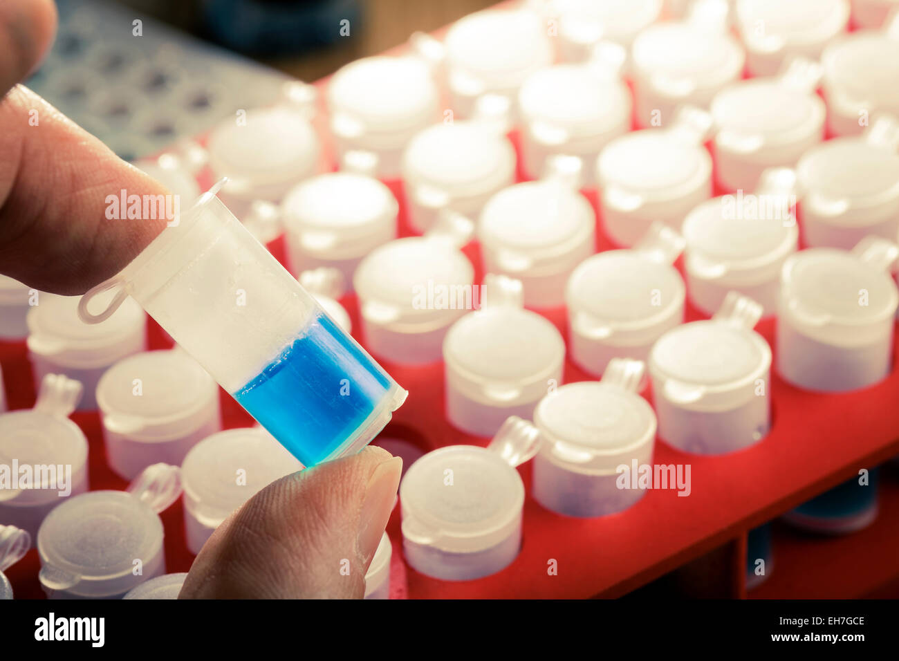 Blue water in a test tube Stock Photo - Alamy