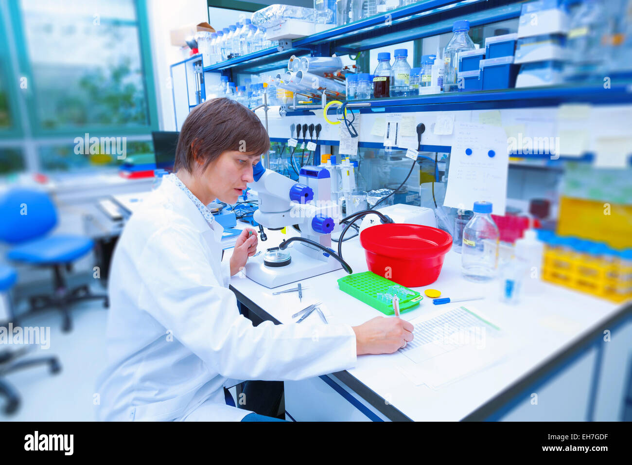 Female technician working in a lab Stock Photo - Alamy