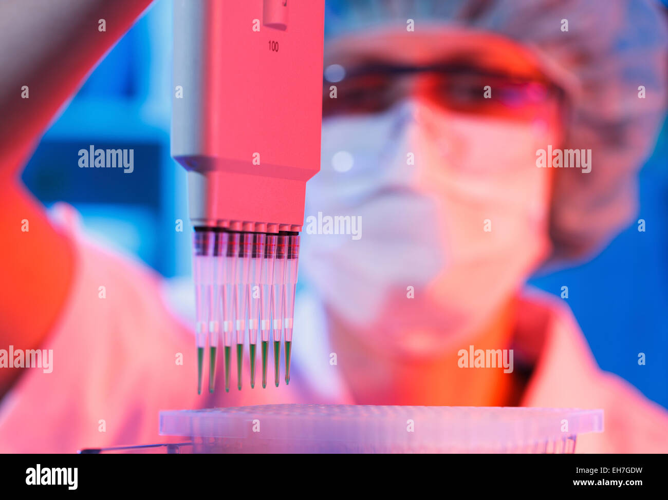 Lab technician holding multi pipettes Stock Photo - Alamy