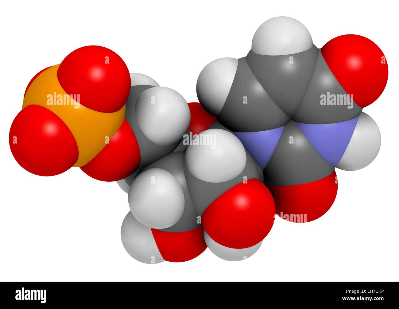 Uridine monophosphate nucleotide molecule Stock Photo - Alamy